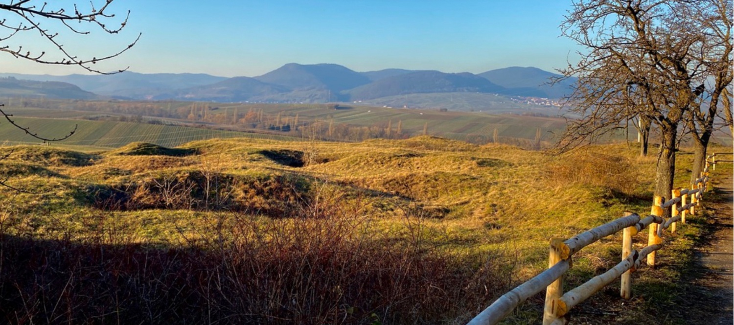 Die kleine Kalmit – Landau – Arzheim